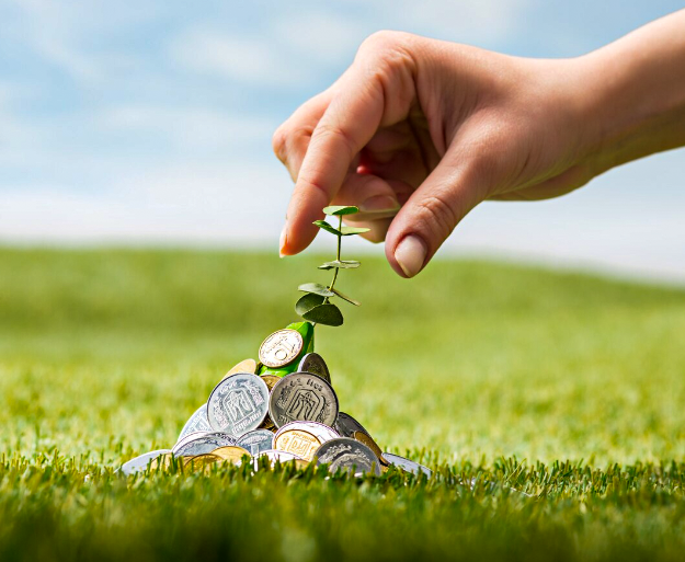 Islamic Finance The Lending Tree Islamic Finance The Lending Tree